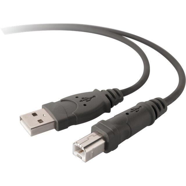 Belkin Hi Speed USB Cable (1.8 Metres) - JB Hi-Fi NZ